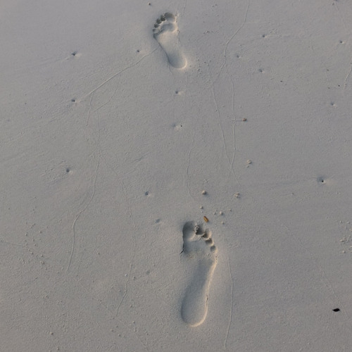 Stream House of the Rising Sun - Acoustic Jam with Nicky by Jimmecee ...