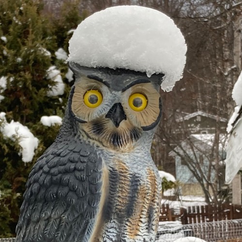 Stream Frank Balazs music | Listen to songs, albums, playlists for free ...