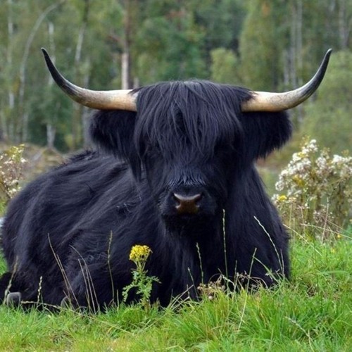 Stream leejack.exe music | Listen to songs, albums, playlists for free on SoundCloud