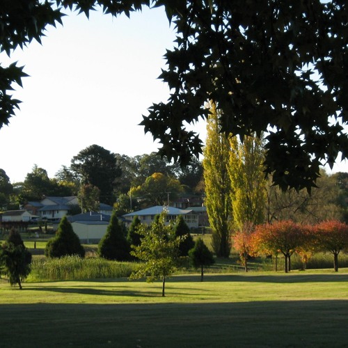 Stream Lyndon Megarrity music | Listen to songs, albums, playlists for ...