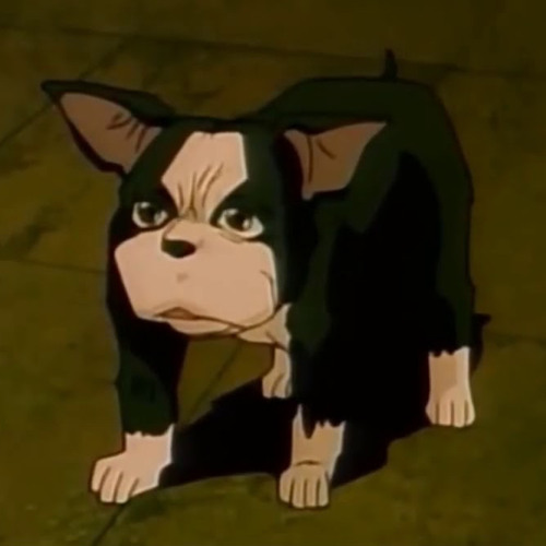 Stream HDLK music | Listen to songs, albums, playlists for free on ...