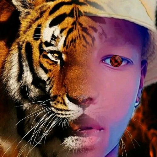 Stream Triple Tiger music | Listen to songs, albums, playlists for free ...