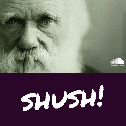Stream Shush! Sounds from UCC Library music | Listen to songs, albums ...