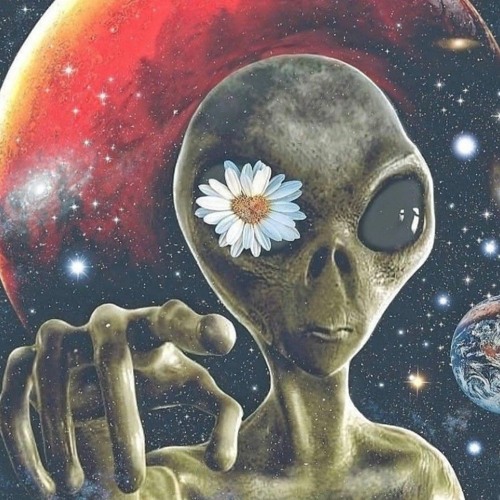 Stream 🥦Brocoli🥦 music | Listen to songs, albums, playlists for free on ...