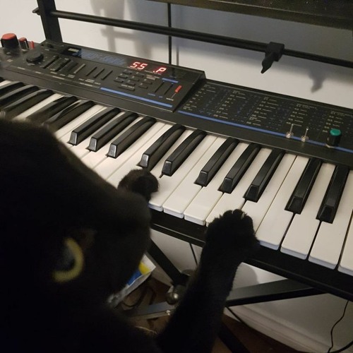 Stream James Brander music | Listen to songs, albums, playlists for ...