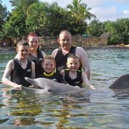 Stream Gregor Robin music | Listen to songs, albums, playlists for free ...