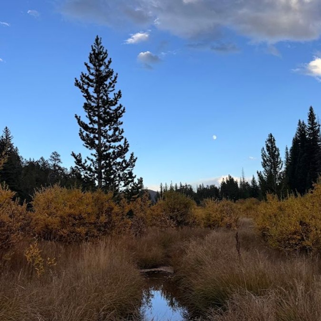 Stream swypr music | Listen to songs, albums, playlists for free on ...