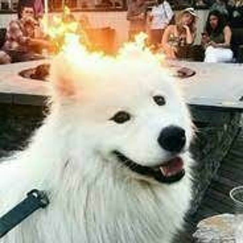 Stream Smally Bigs music | Listen to songs, albums, playlists for free ...