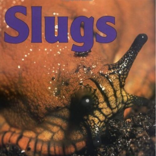 Stream SLUGS music | Listen to songs, albums, playlists for free on ...