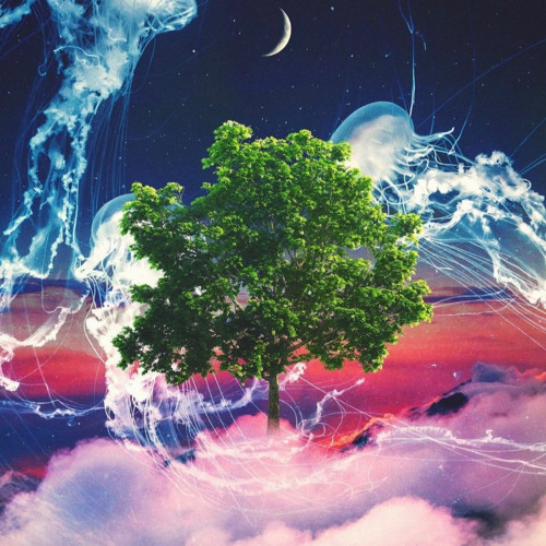 Stream 6GATSU music | Listen to songs, albums, playlists for free on ...