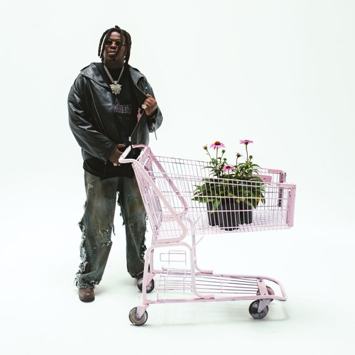 Stream Ivory Scott music | Listen to songs, albums, playlists for free ...