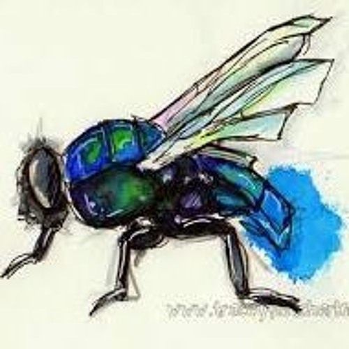 Stream Blue Arsed Flies music | Listen to songs, albums, playlists for ...