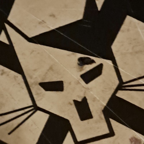 Stream Ricky Rotten music | Listen to songs, albums, playlists for free ...