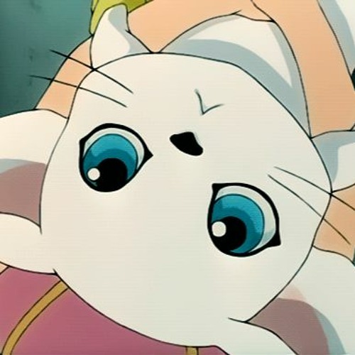 Stream Sad Gatomon | Listen to pokemon sleep playlist online for free ...