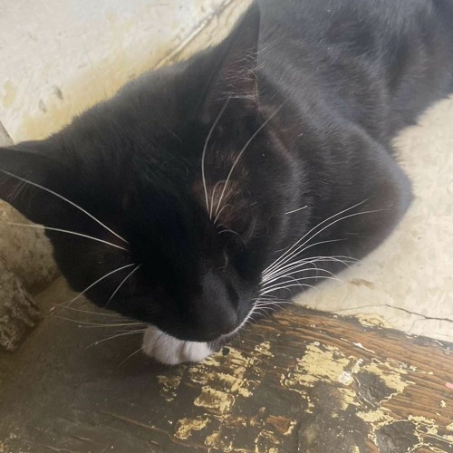 Stream Eric Gomez music | Listen to songs, albums, playlists for free ...