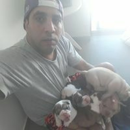 Stream Opash Caminho Das Indias music | Listen to songs, albums ...