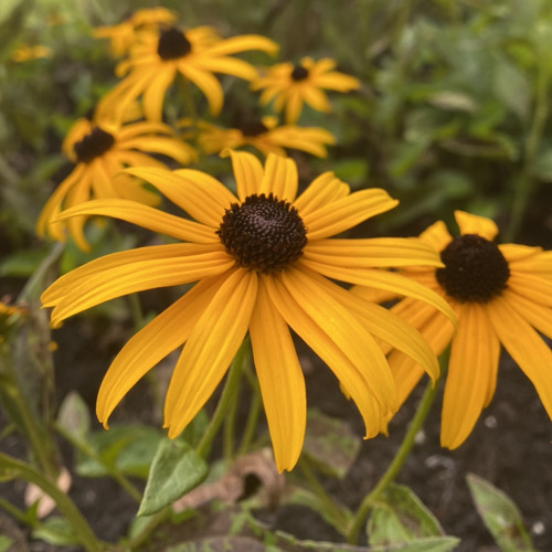 Stream Bridget Patton music | Listen to songs, albums, playlists for ...