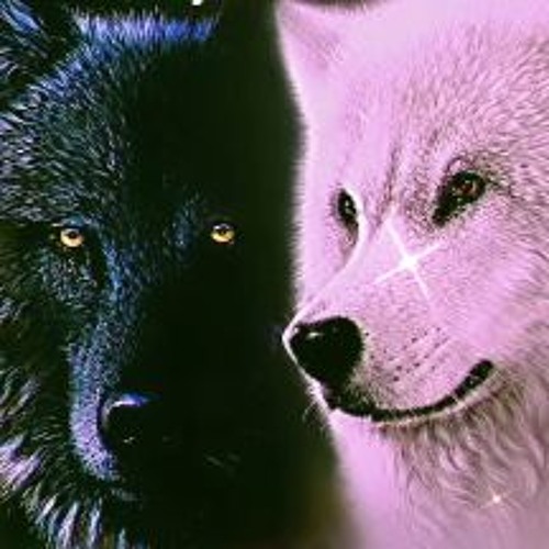 Stream Two Lone Wolves music | Listen to songs, albums, playlists for ...