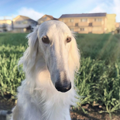 Stream AG music | Listen to songs, albums, playlists for free on SoundCloud