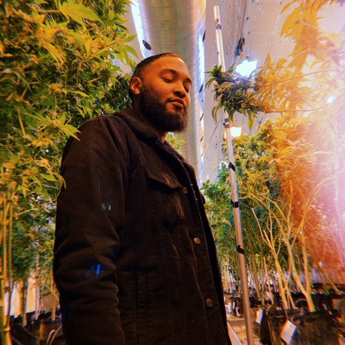 Stream J.LOCK music | Listen to songs, albums, playlists for free on ...