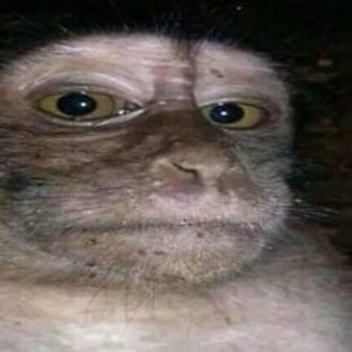 Stream Ley music | Listen to songs, albums, playlists for free on ...