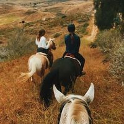 Stream Marwa Ragab music | Listen to songs, albums, playlists for free ...