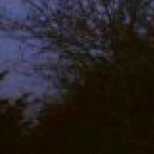 Stream deer?thing music | Listen to songs, albums, playlists for free ...