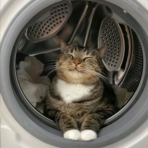 Stream TGHI:3 music | Listen to songs, albums, playlists for free on ...