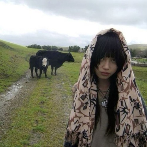 Stream asia6x music | Listen to songs, albums, playlists for free on ...