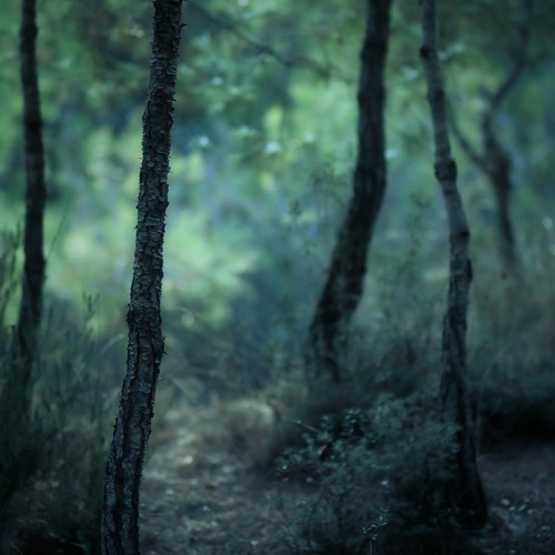 Stream Daniel Woodhouse (Woody) music | Listen to songs, albums ...
