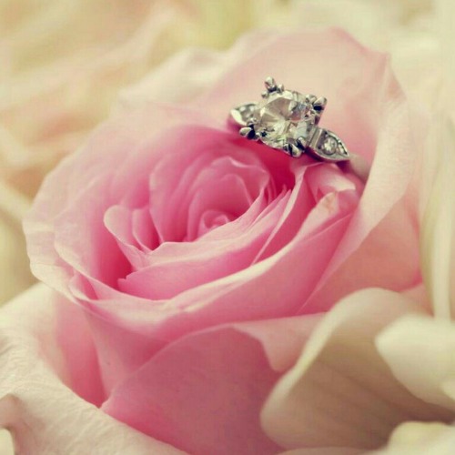 Stream sally sherif | Listen to Quran playlist online for free on ...