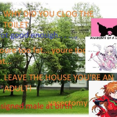 Stream The Shitskins music | Listen to songs, albums, playlists for ...