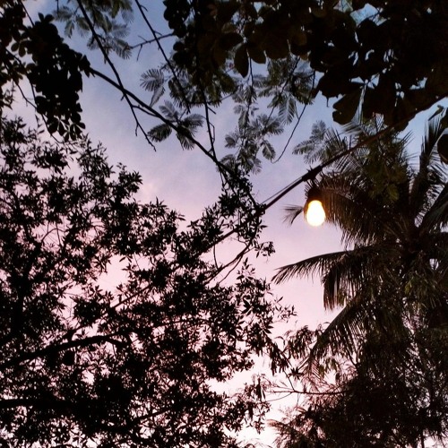 Stream Militza Vado music | Listen to songs, albums, playlists for free ...