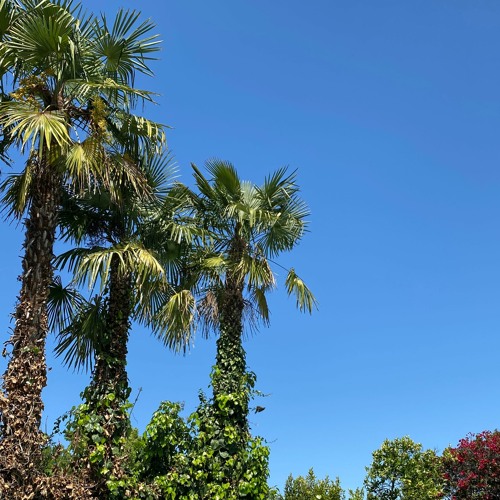 Stream The Grounding Chord by Kaycelyn Atkinson | Listen online for ...