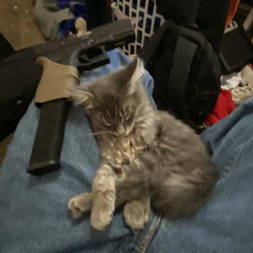 Stream Jake? music | Listen to songs, albums, playlists for free on ...