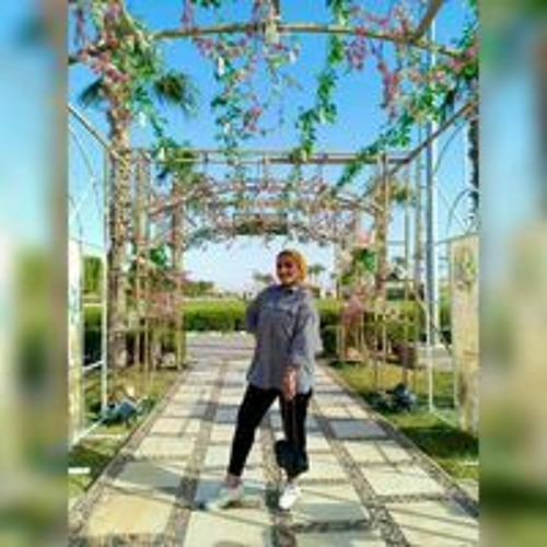 Stream Reham Samir music | Listen to songs, albums, playlists for free ...