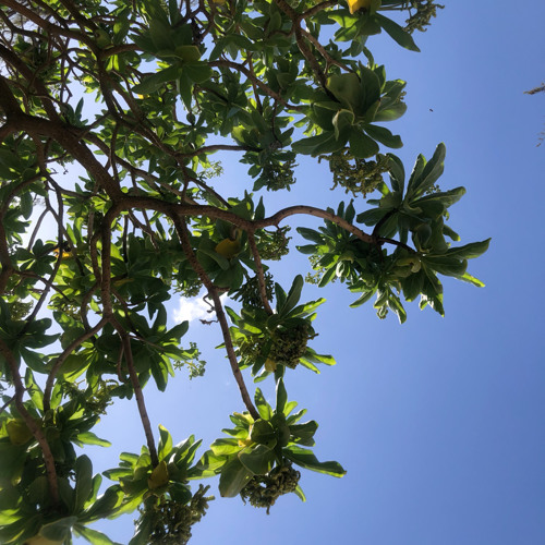 Stream Aidan Harding Bradburn music | Listen to songs, albums ...