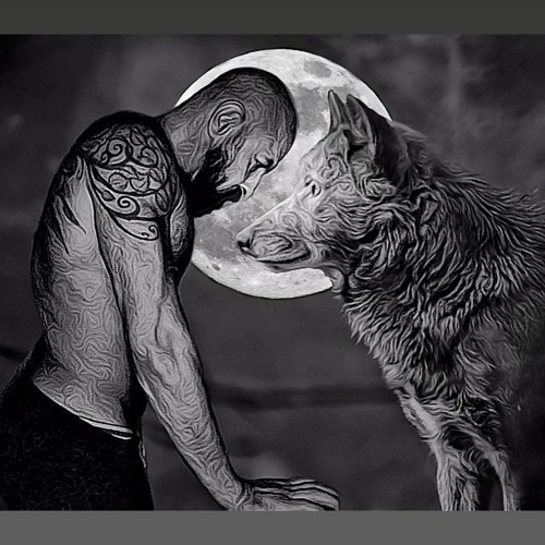 Stream Wolf Growler music | Listen to songs, albums, playlists for free ...