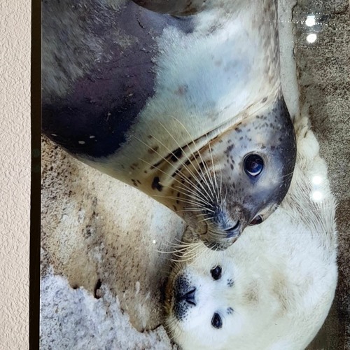 Stream DooSick music | Listen to songs, albums, playlists for free on ...