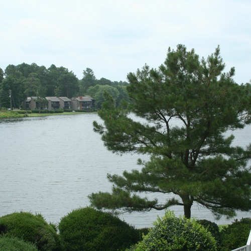 Stream Charlie Bergmann music | Listen to songs, albums, playlists for ...