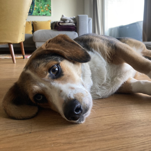 Stream 2A.M. music | Listen to songs, albums, playlists for free on ...