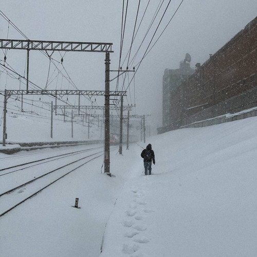 Stream Neso music | Listen to songs, albums, playlists for free on ...