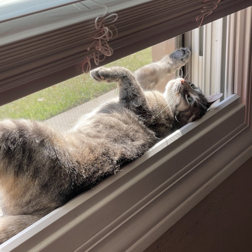 Stream Burner On High music | Listen to songs, albums, playlists for ...