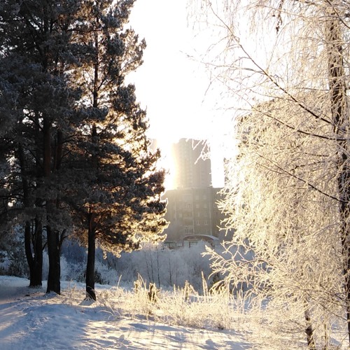 Stream Sirvel music | Listen to songs, albums, playlists for free on ...