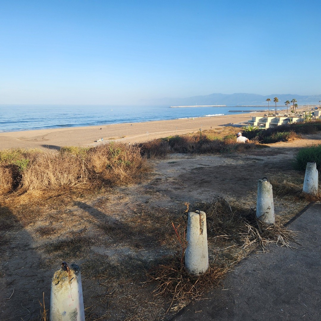 Stream no time for shade music | Listen to songs, albums, playlists for ...