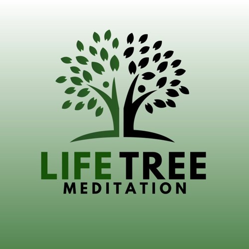 Stream LifeTree Meditation music | Listen to songs, albums, playlists ...