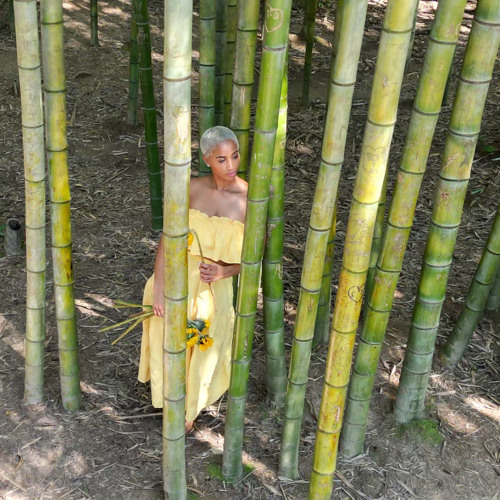 Stream Janel K. Lauren music | Listen to songs, albums, playlists for ...