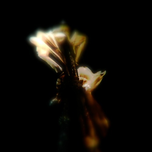 Stream Imagine Drowning music | Listen to songs, albums, playlists for ...