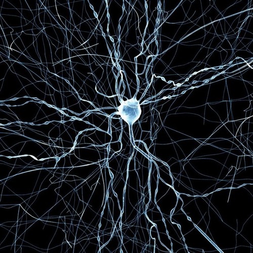 Stream neuron music | Listen to songs, albums, playlists for free on ...