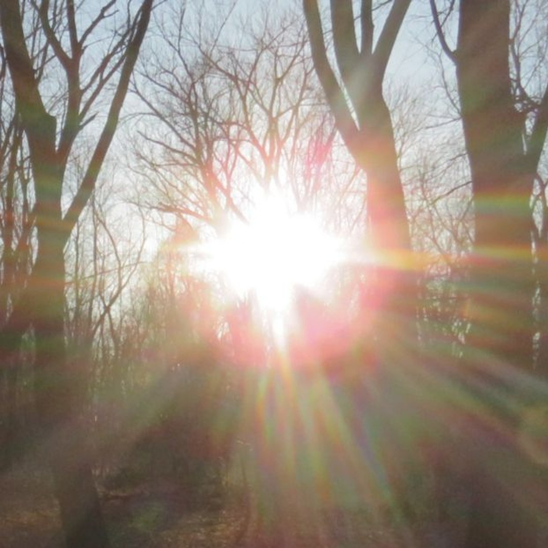 Stream Project_3 by Tanner Fedler | Listen online for free on SoundCloud